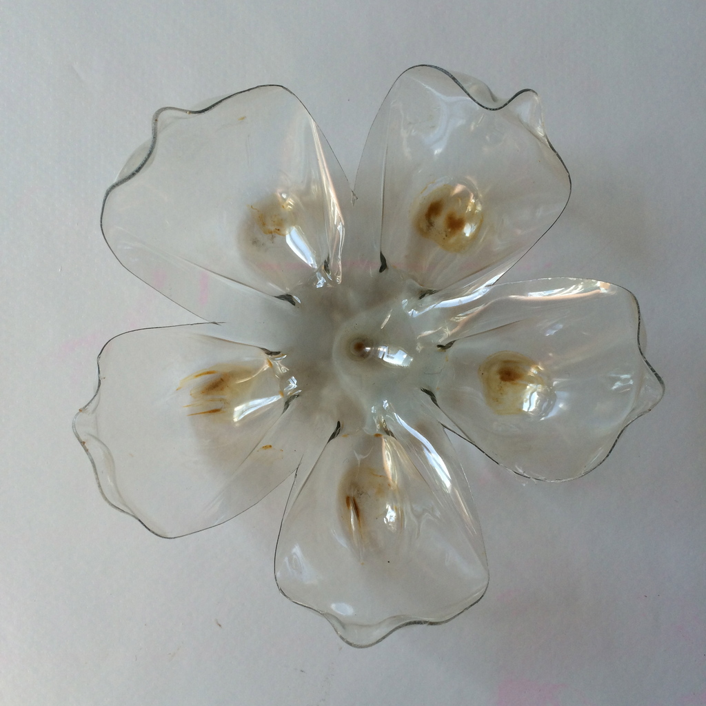 Plastic Bottle Flowers | Colourful Minds