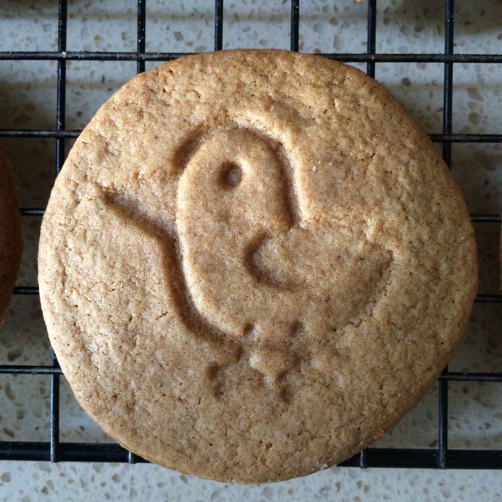 Gingerbread Biscuits | Colourful Minds