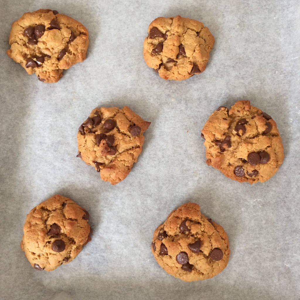Peanut Butter Chocolate Chip Cookies | Colourful Minds